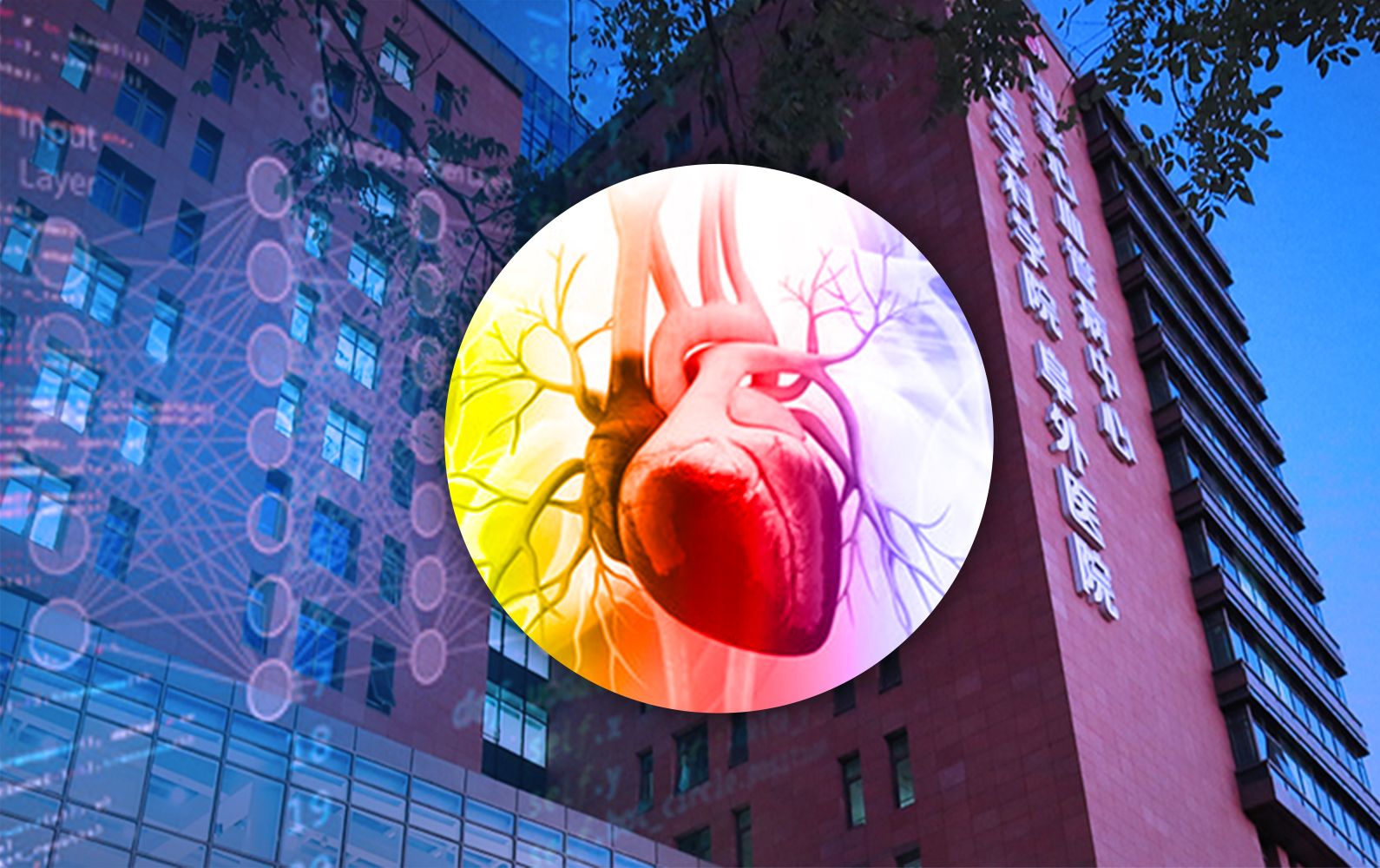 Deep Learning-based CT-FFR in Detecting Coronary Stenosis
